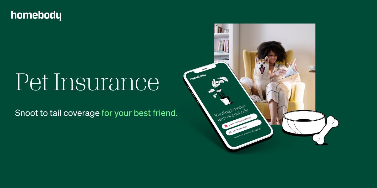 Pet Insurance | The best source for pet insurance when you need it.