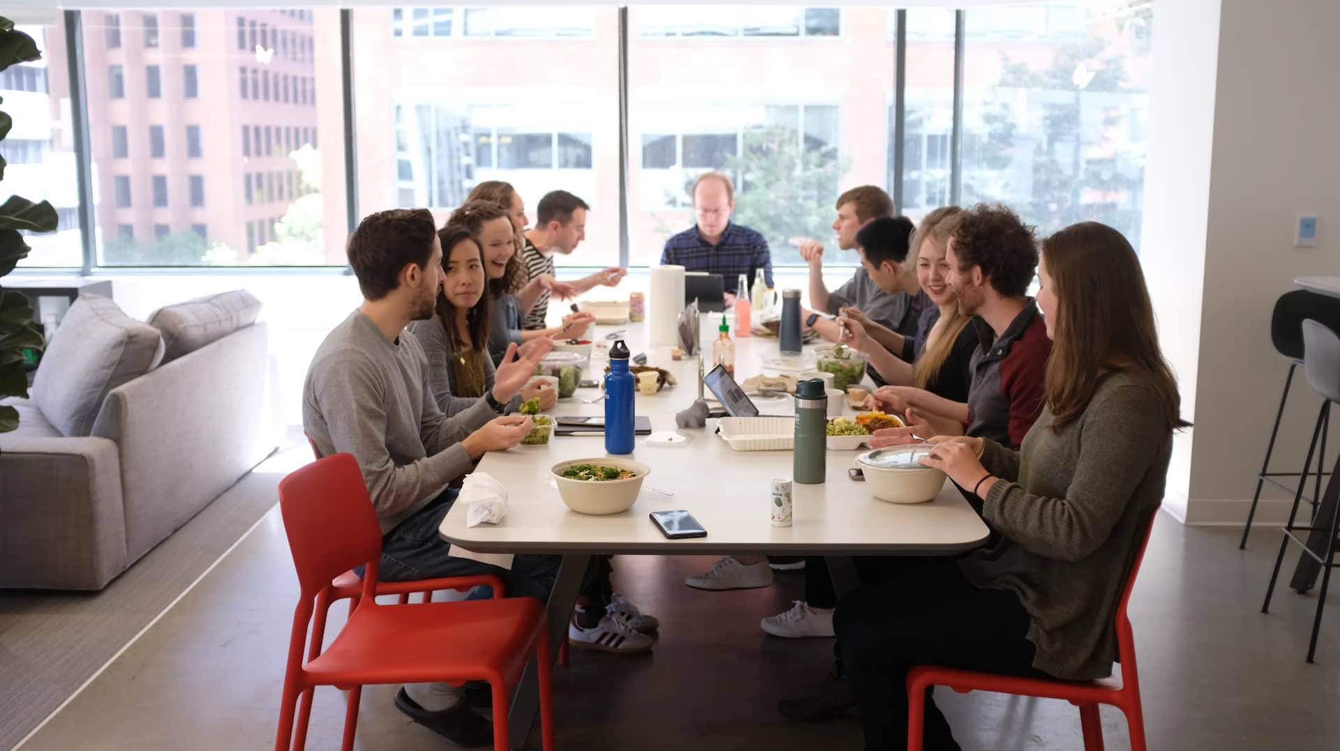 Ginger Labs – behind the scenes