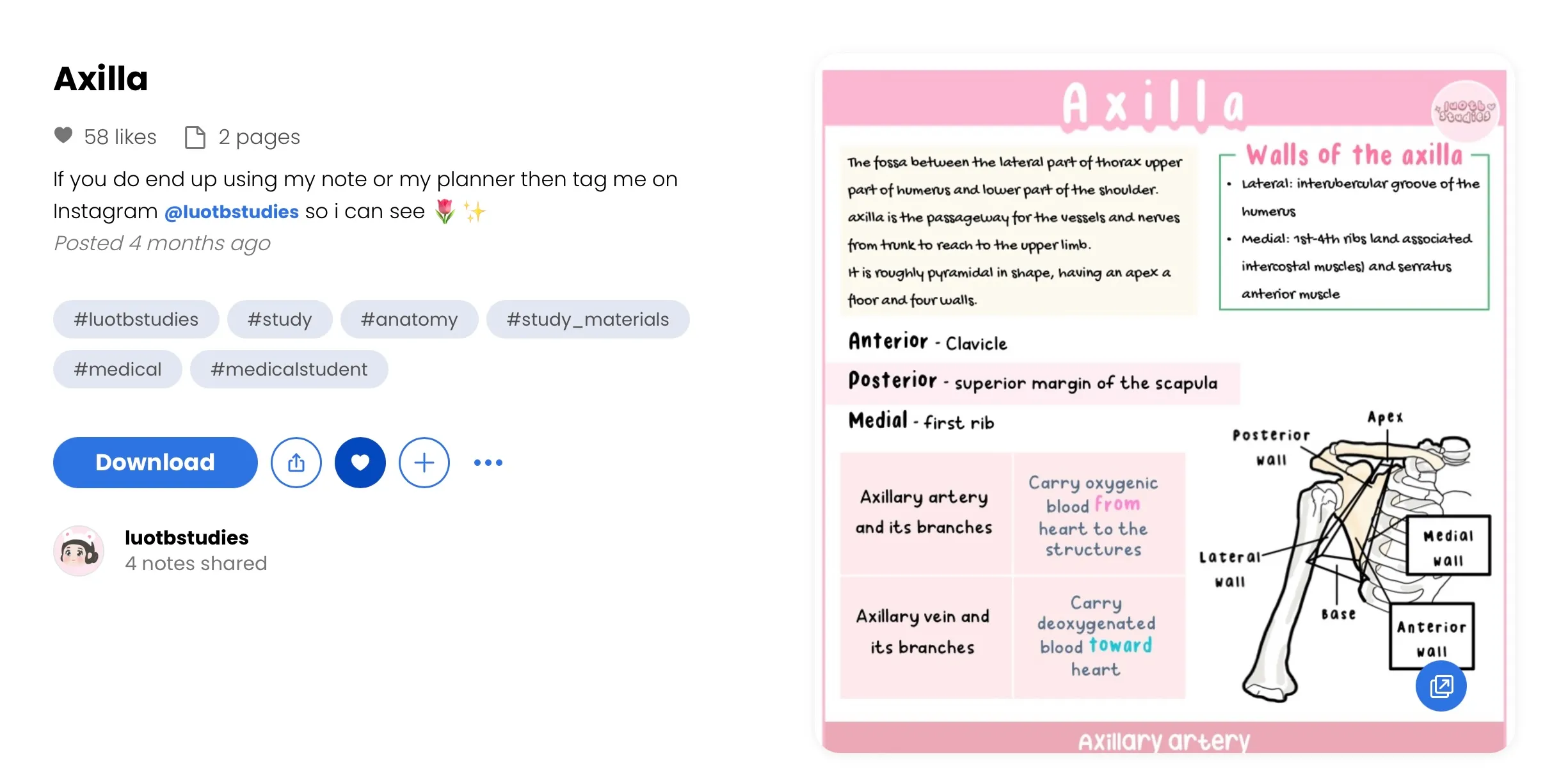 Get Started with the Gallery!