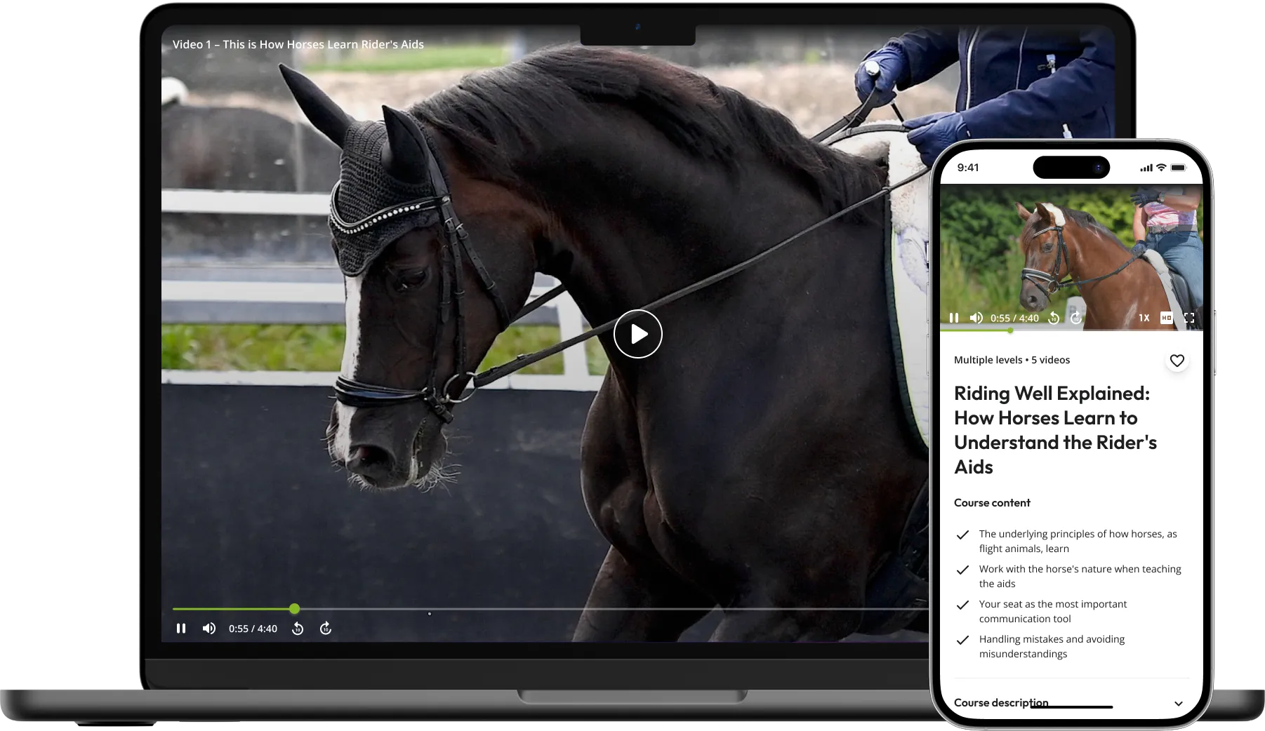 Online Courses: Mastering Riding Aids for Precision