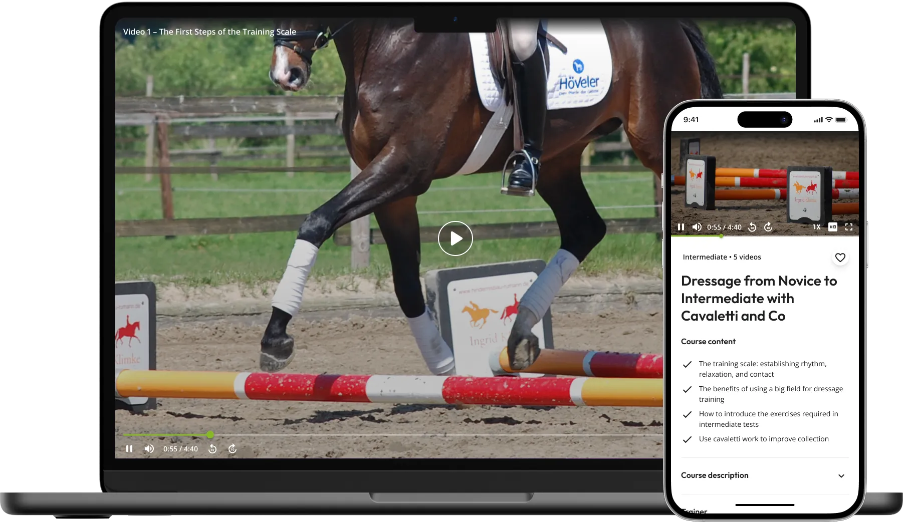 Magic of Cavaletti Training: Precision & Performance
