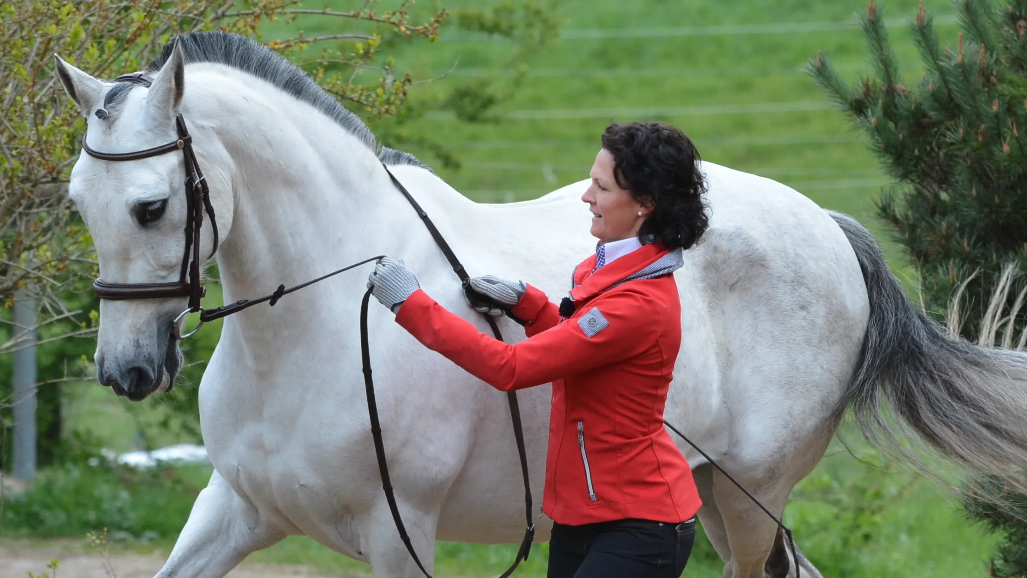 Work In-Hand: Strengthen Horse Connection