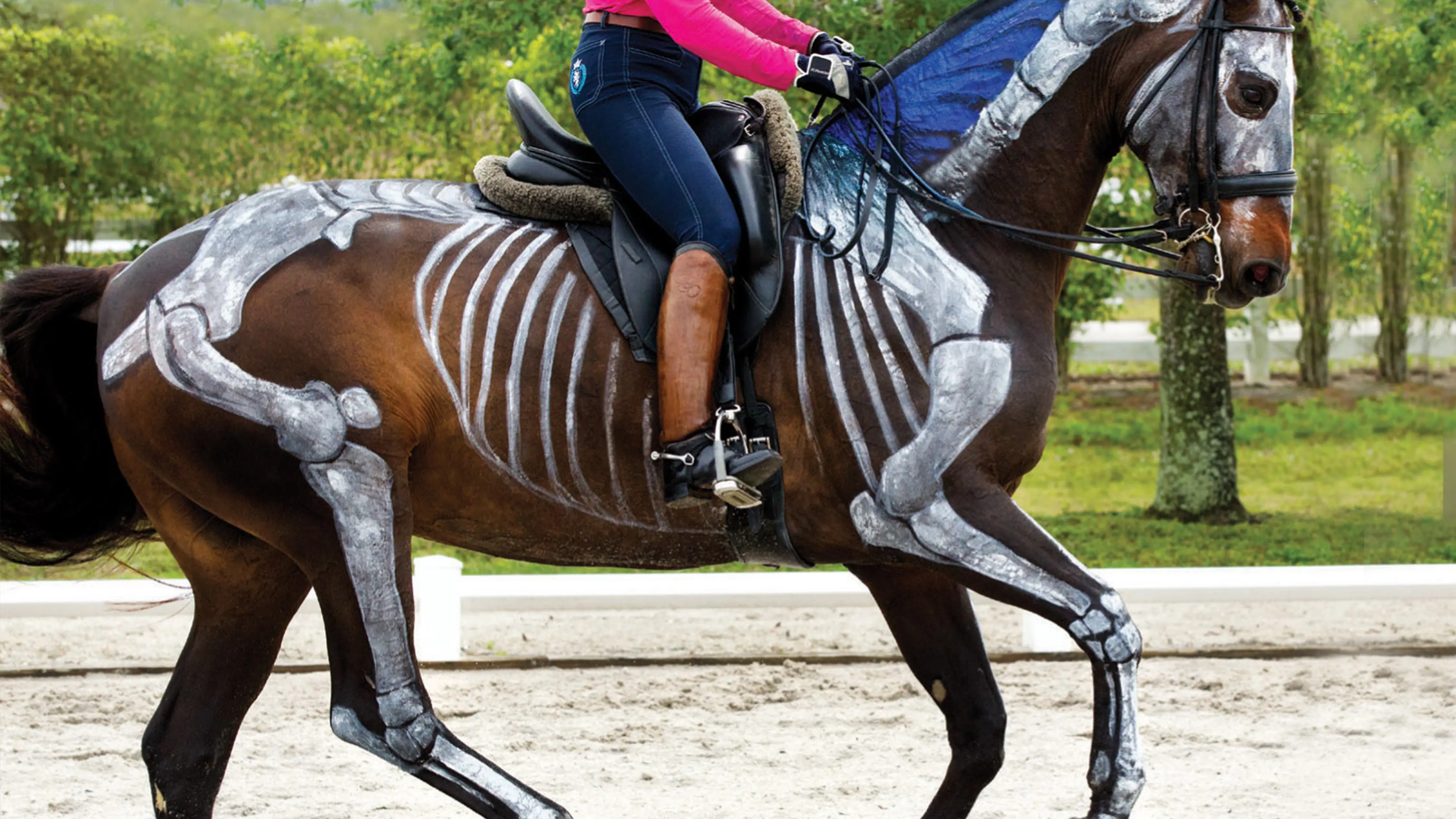 Revitalize Your Horse: The Masterson Method by Jim Masterson