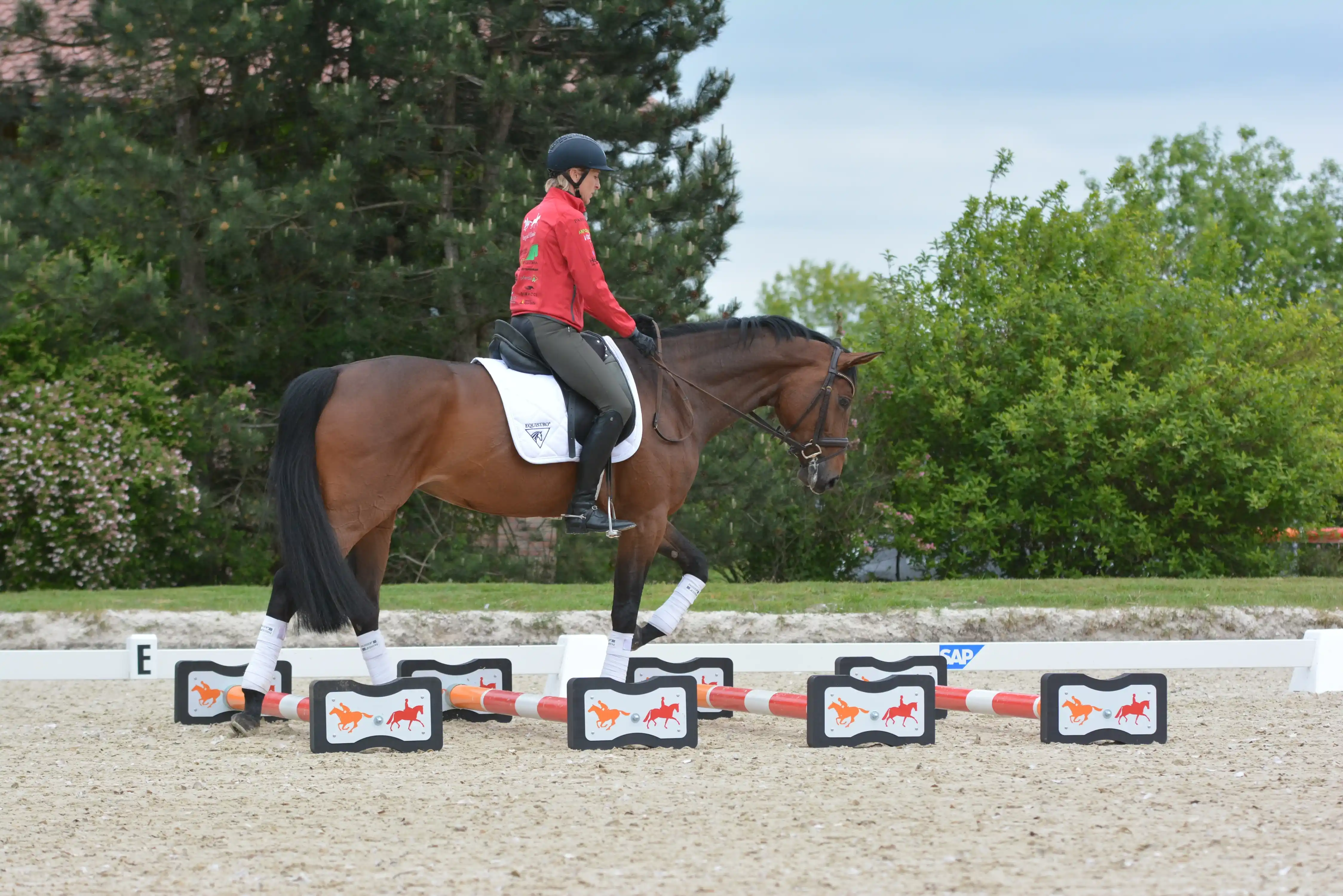 Magic of Cavaletti Training: Precision & Performance