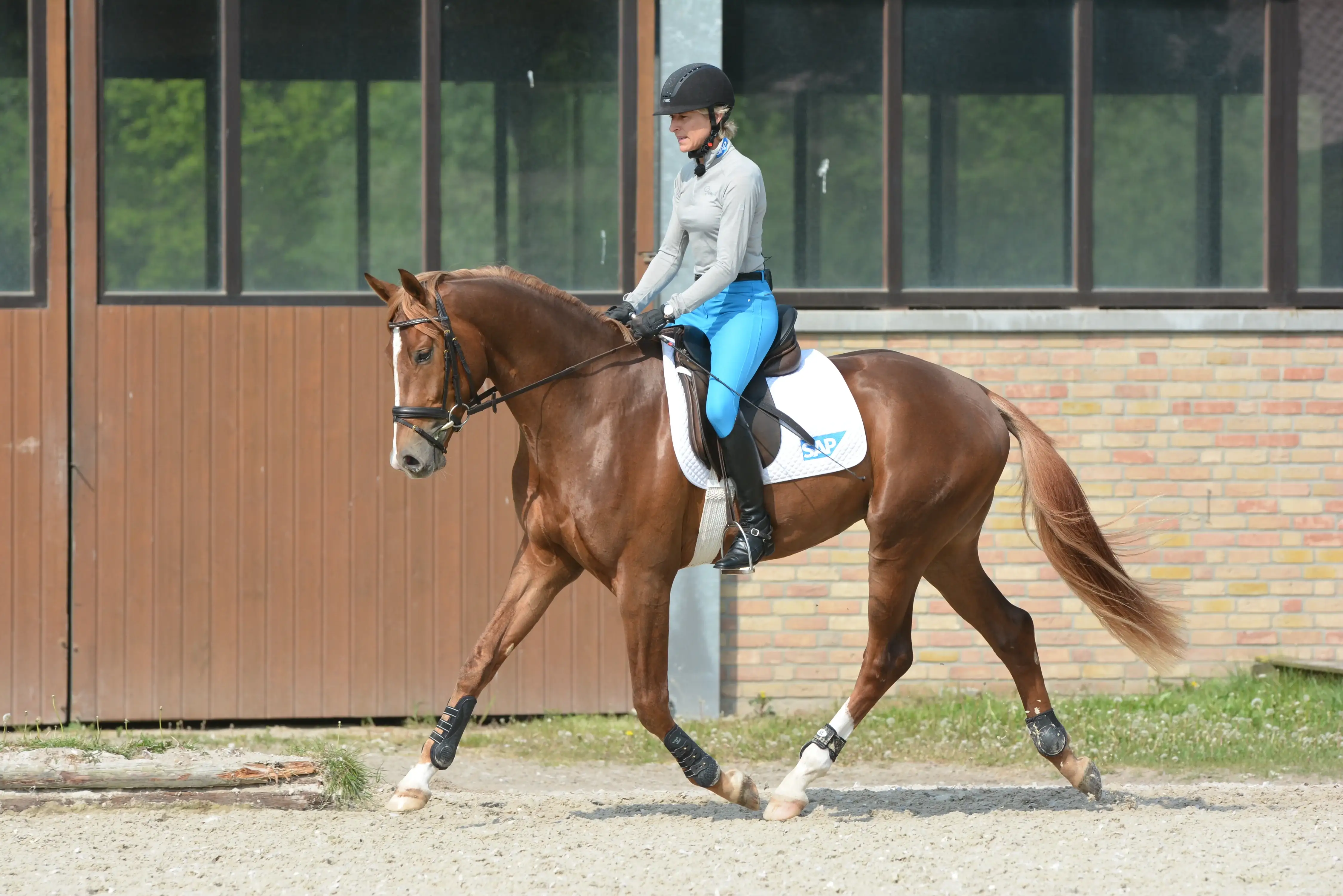 Magic of Cavaletti Training: Precision & Performance