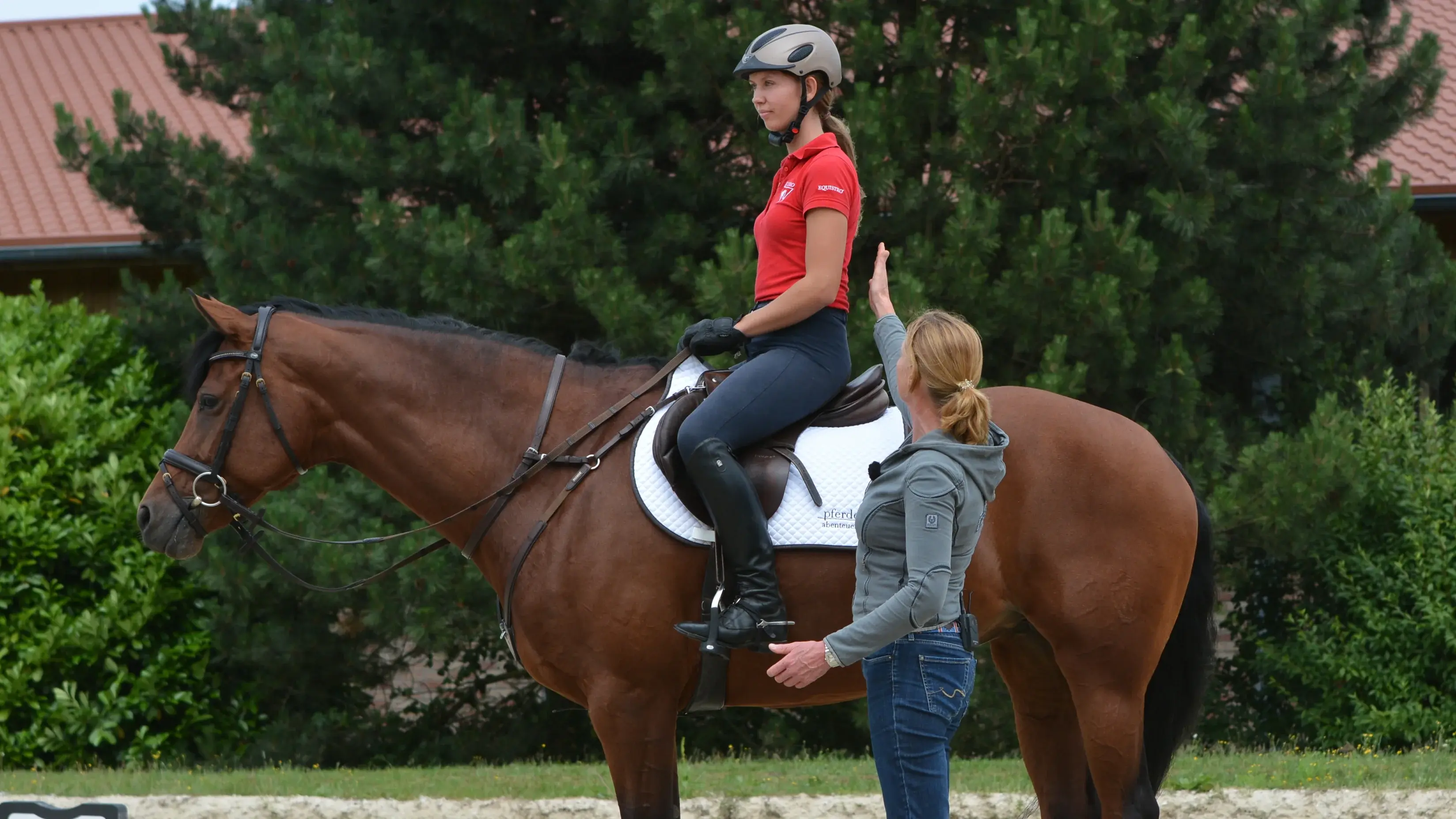 Magic of Cavaletti Training: Precision & Performance