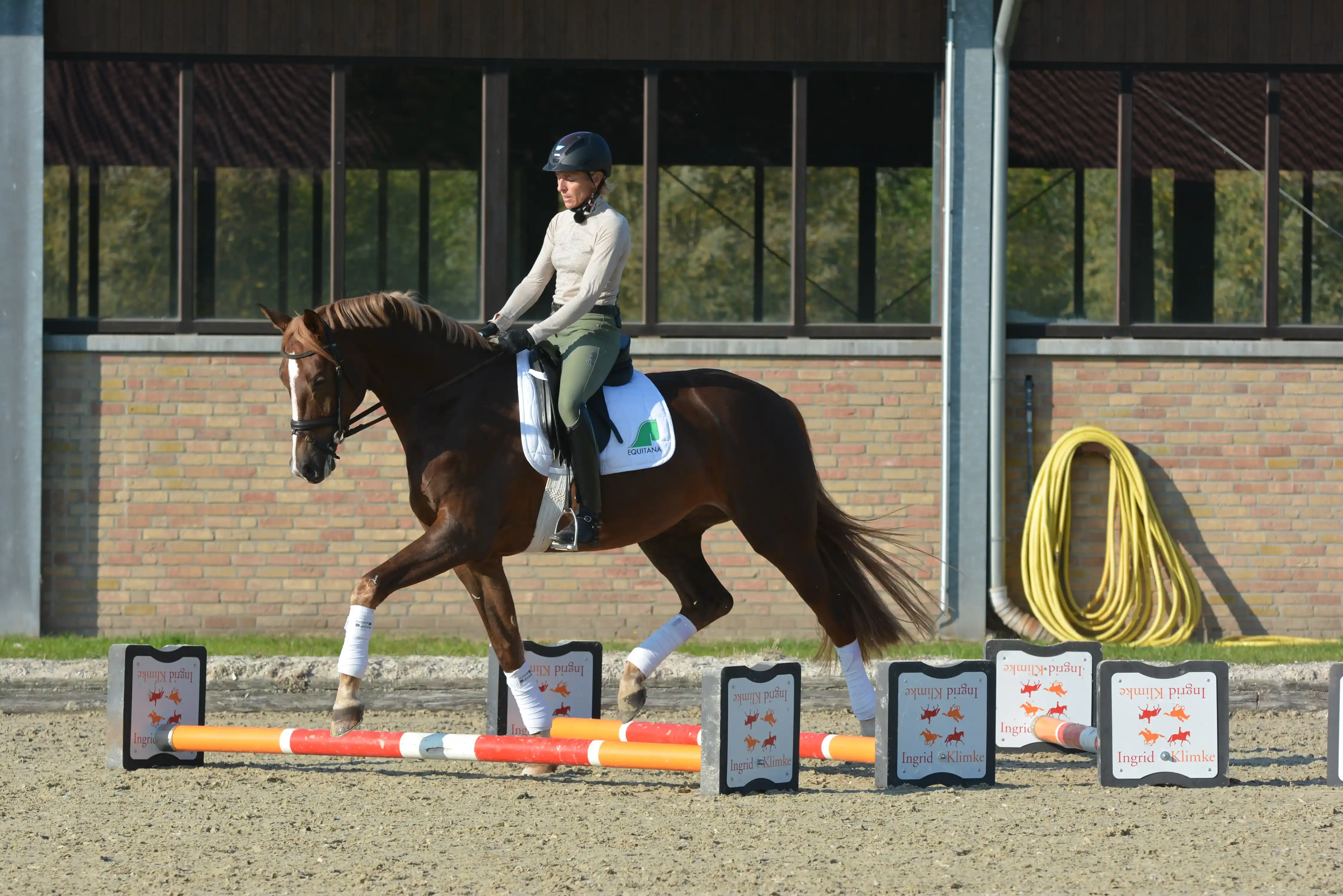 Magic of Cavaletti Training: Precision & Performance