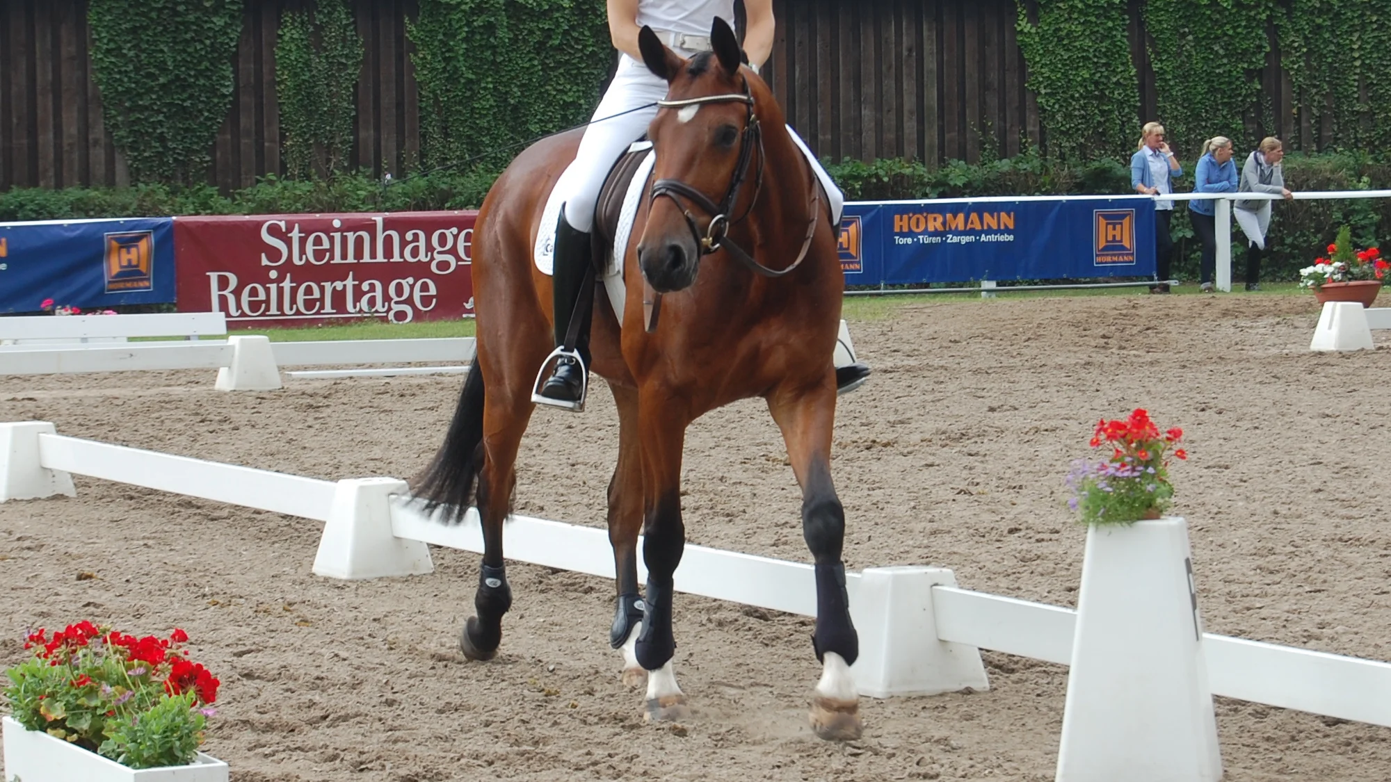Elevate Riding with Dressage Excellence