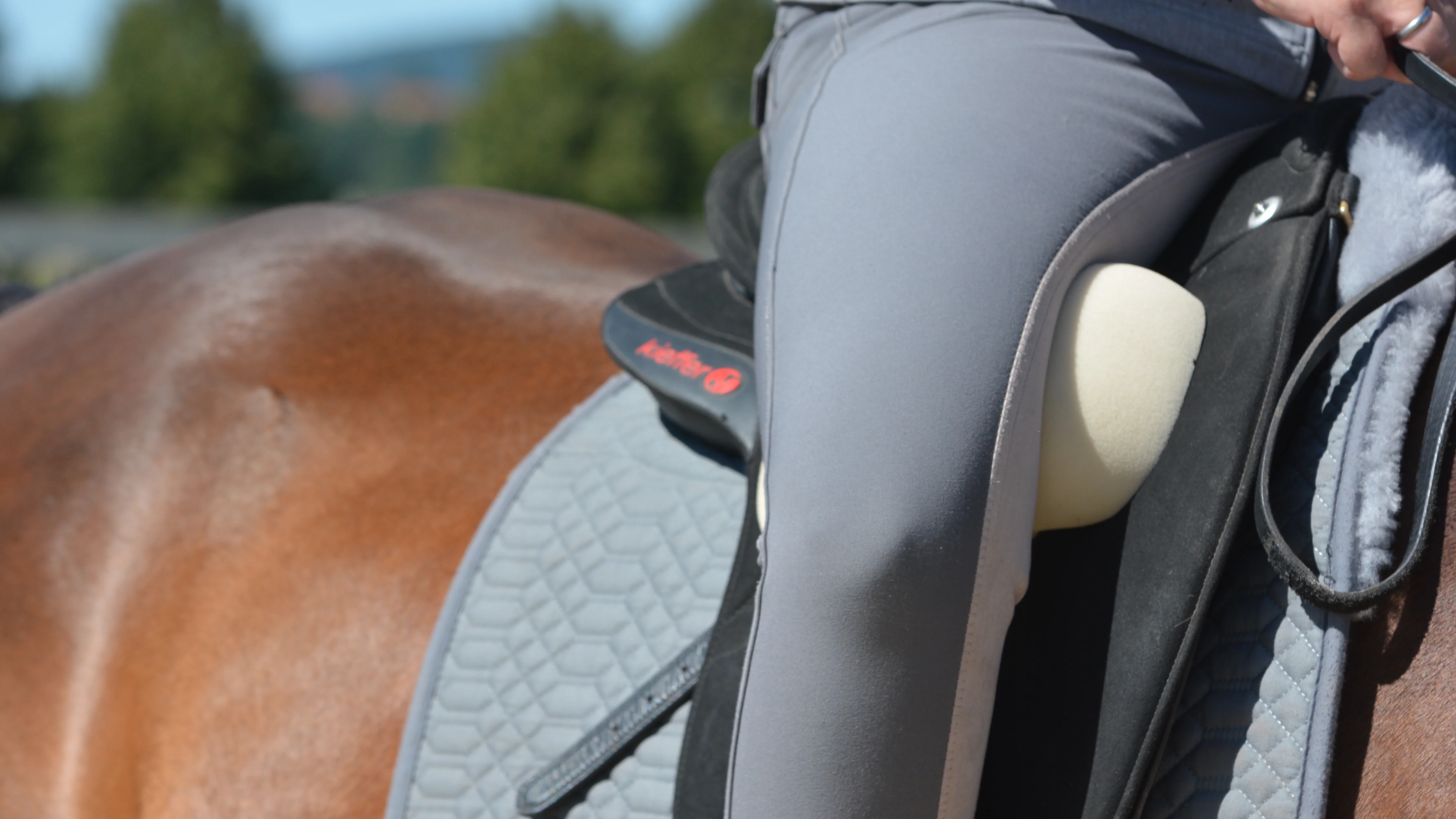 Online Courses: Mastering Riding Aids for Precision