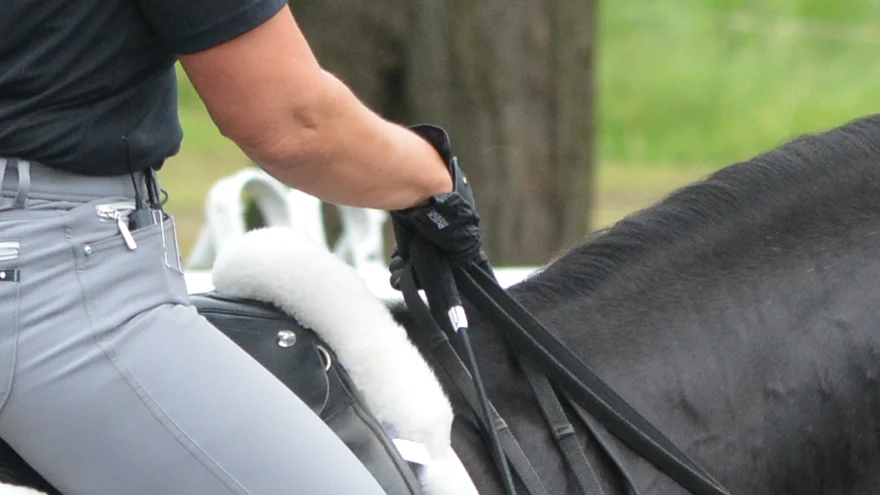 Online Courses: Mastering Riding Aids for Precision