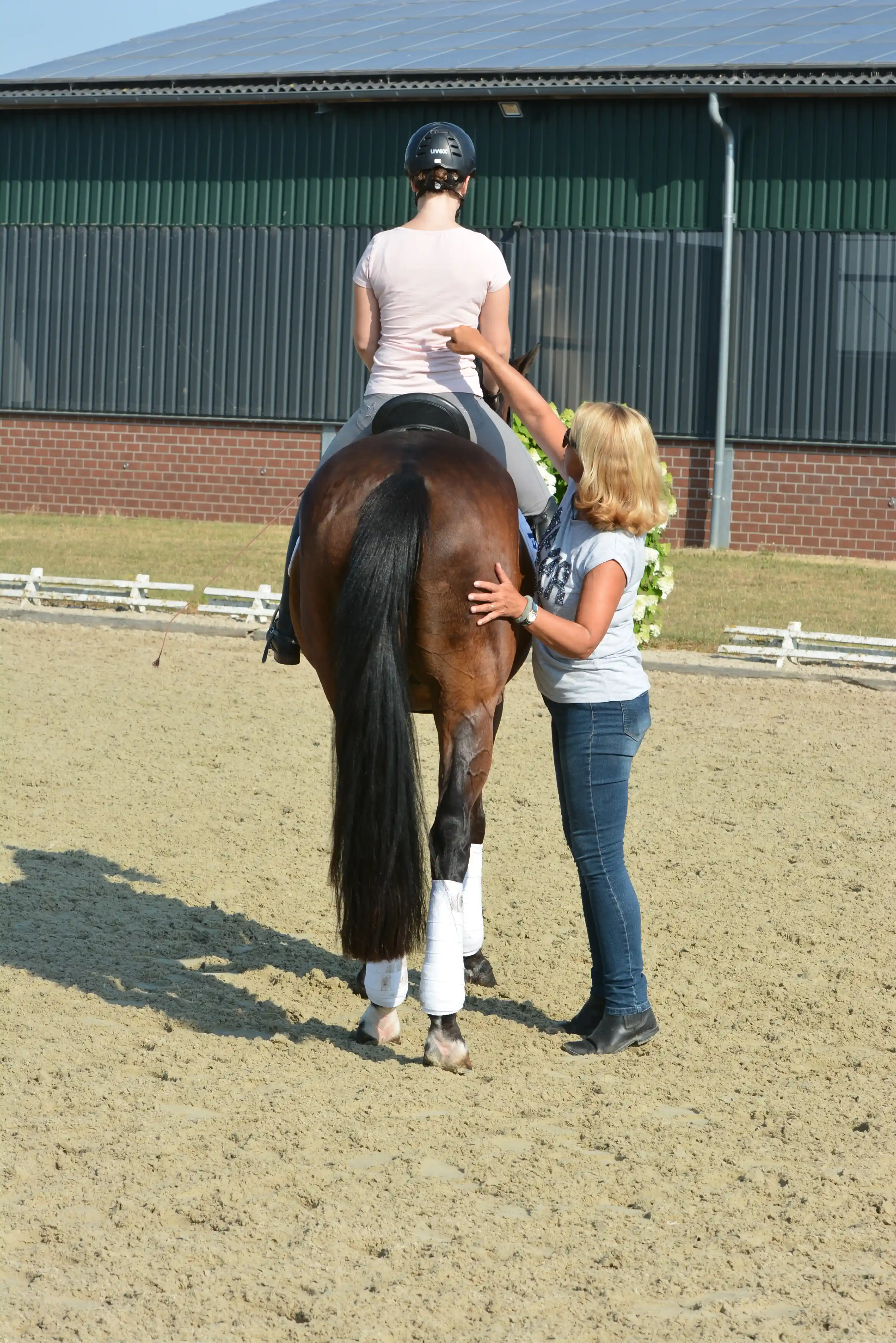 Perfecting the Riding Seat: Mastery in Equestrian Skills