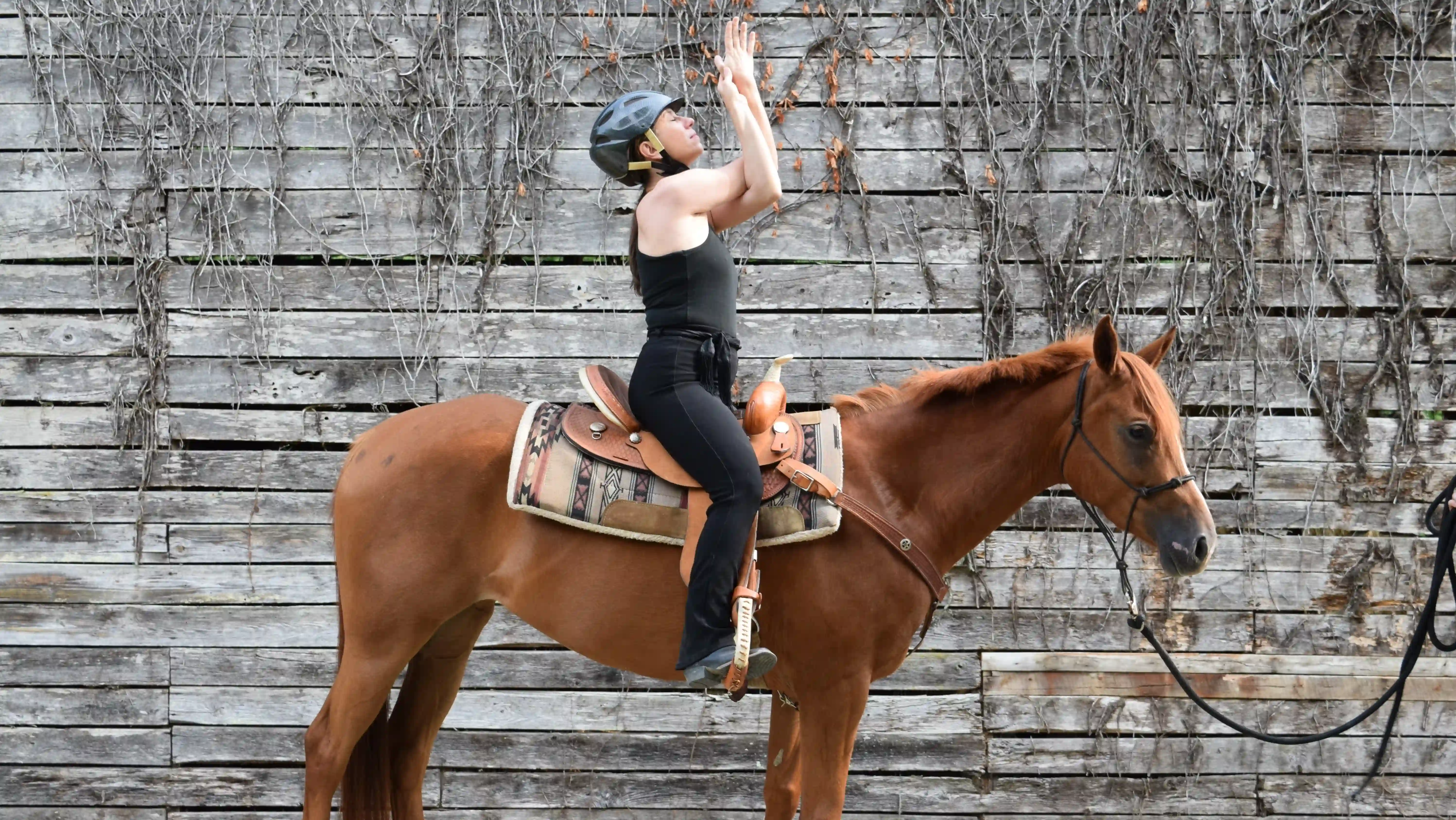 Perfecting the Riding Seat: Mastery in Equestrian Skills