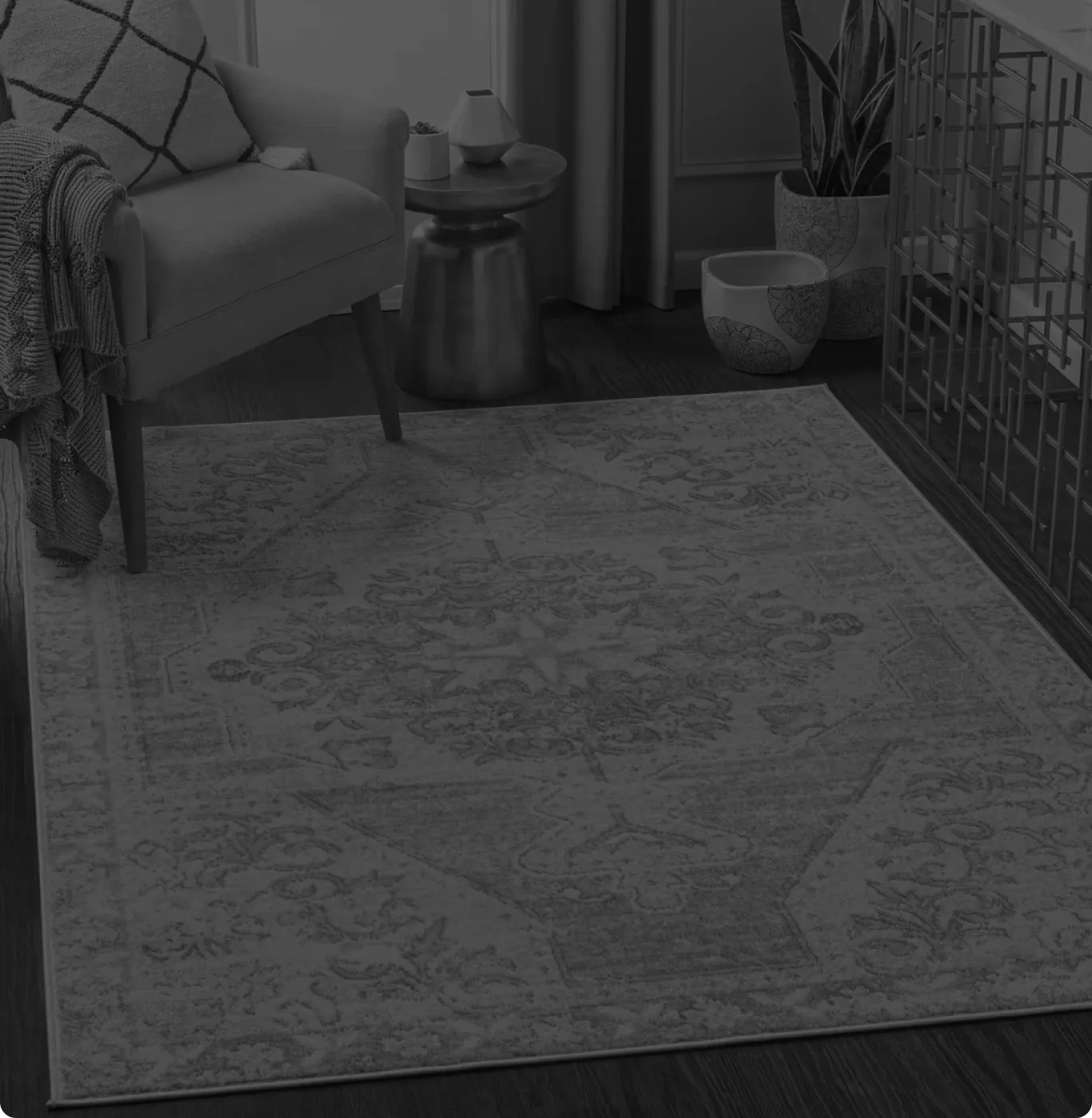 Extend Shipping Protection | What is Shipping Coverage?