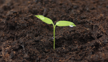 EcoGaia | Your Partner for Sustainability Action