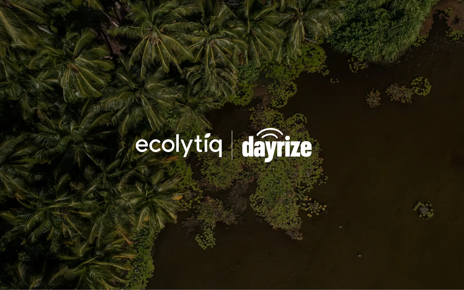 ecolytiq - Home ecolytiq - Home