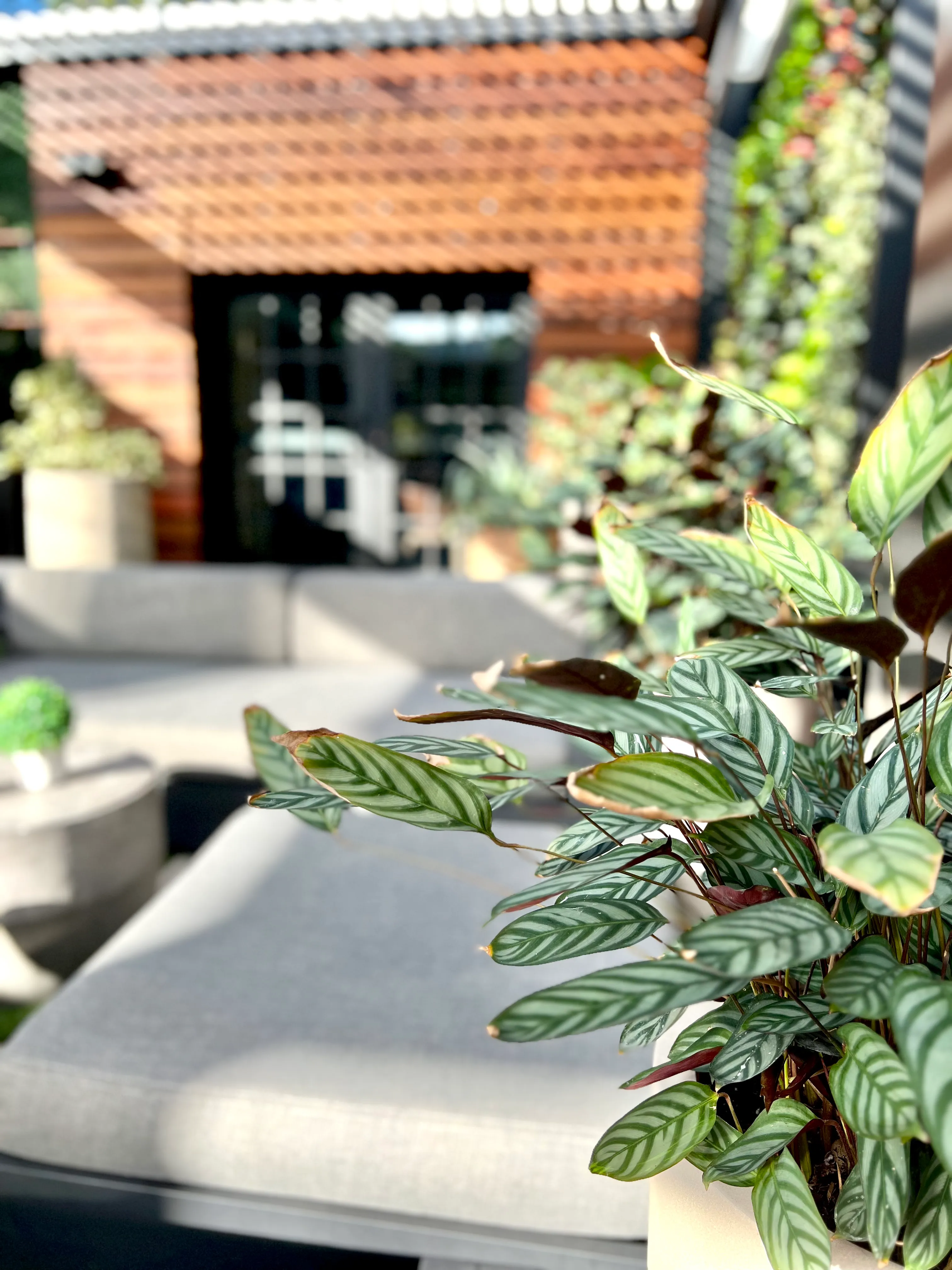 The Grove Delray Beach | Home