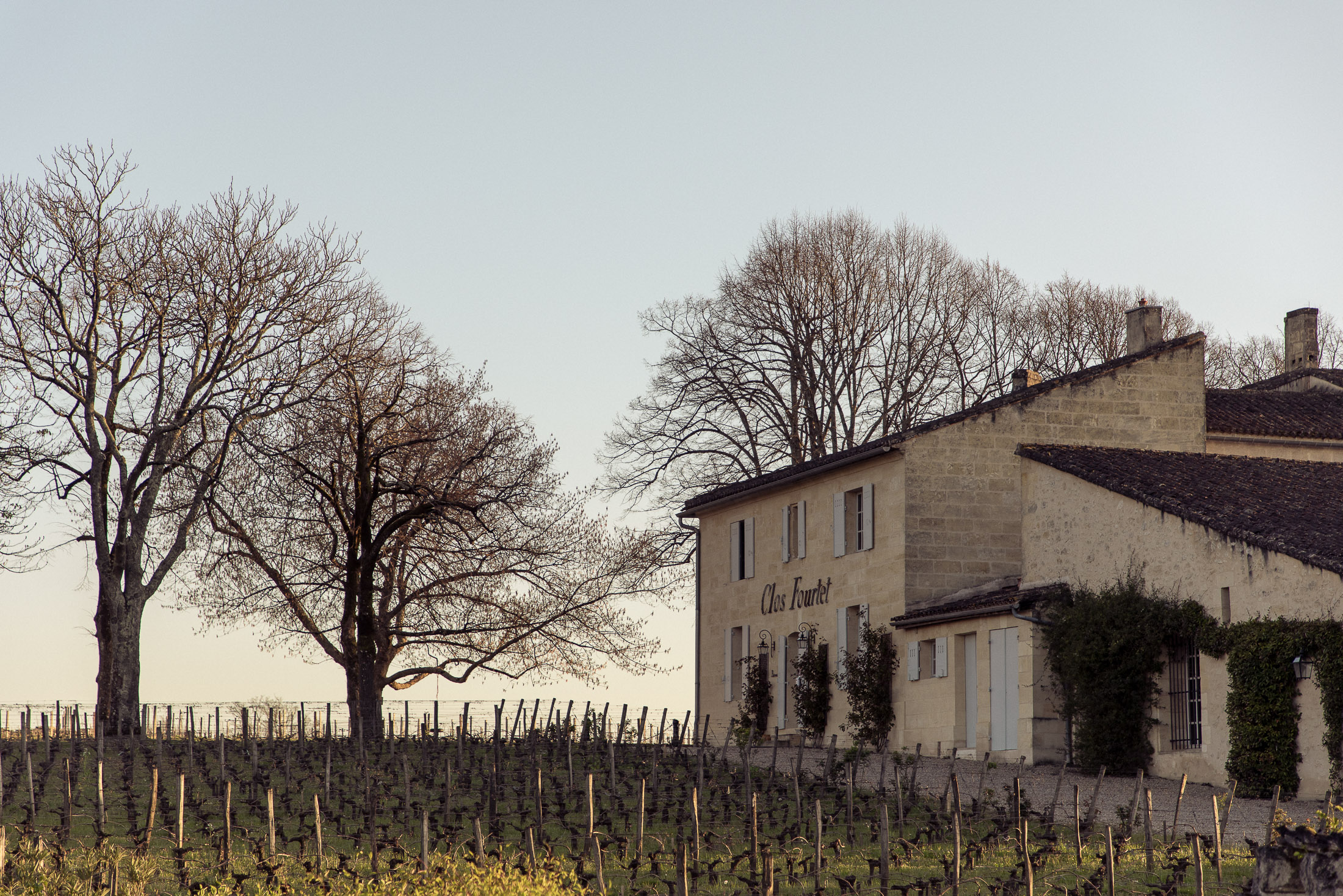 Discover the Best Vintage Wine Selection | Vintage Cellar