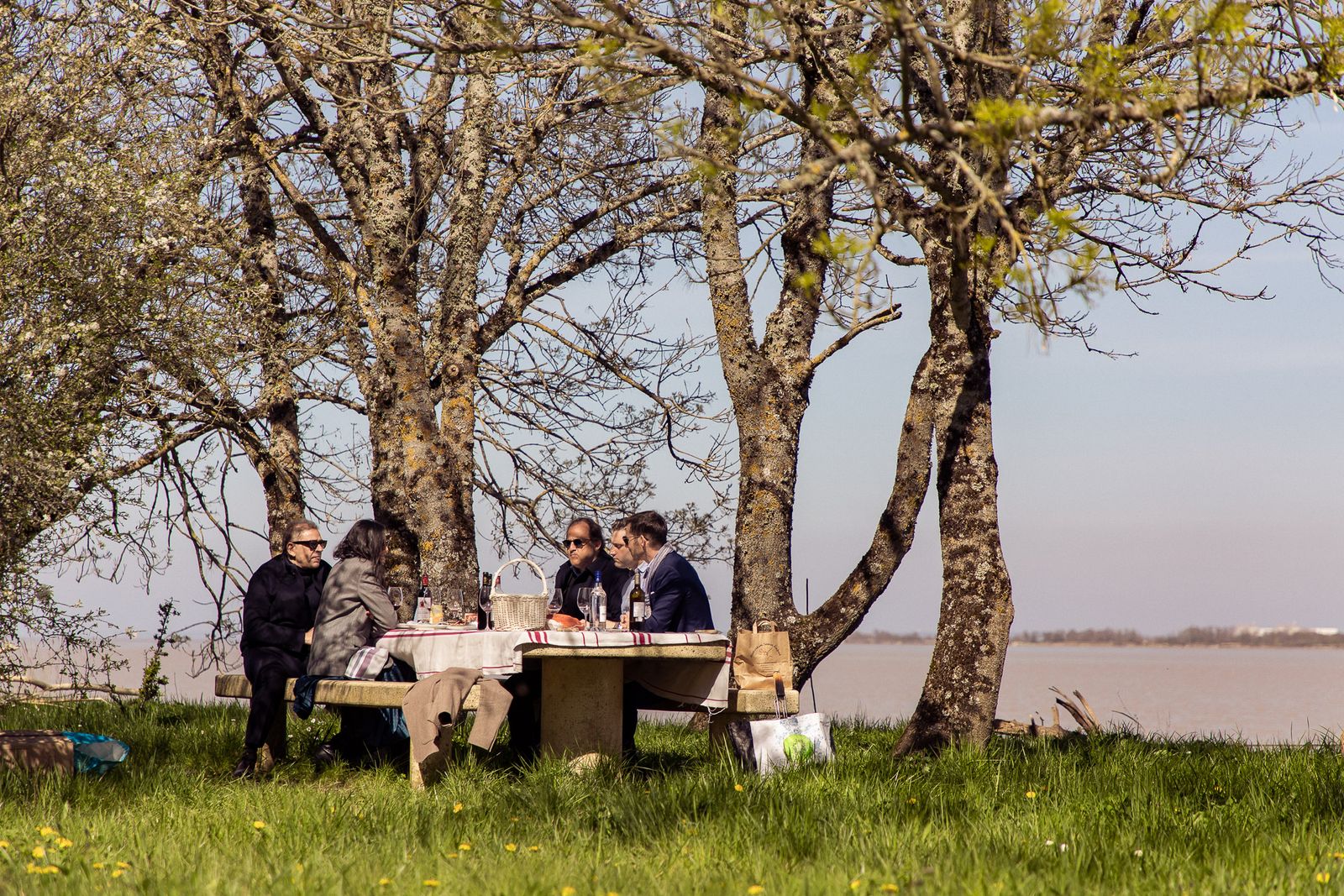 Discover the Best Vintage Wine Selection | Vintage Cellar