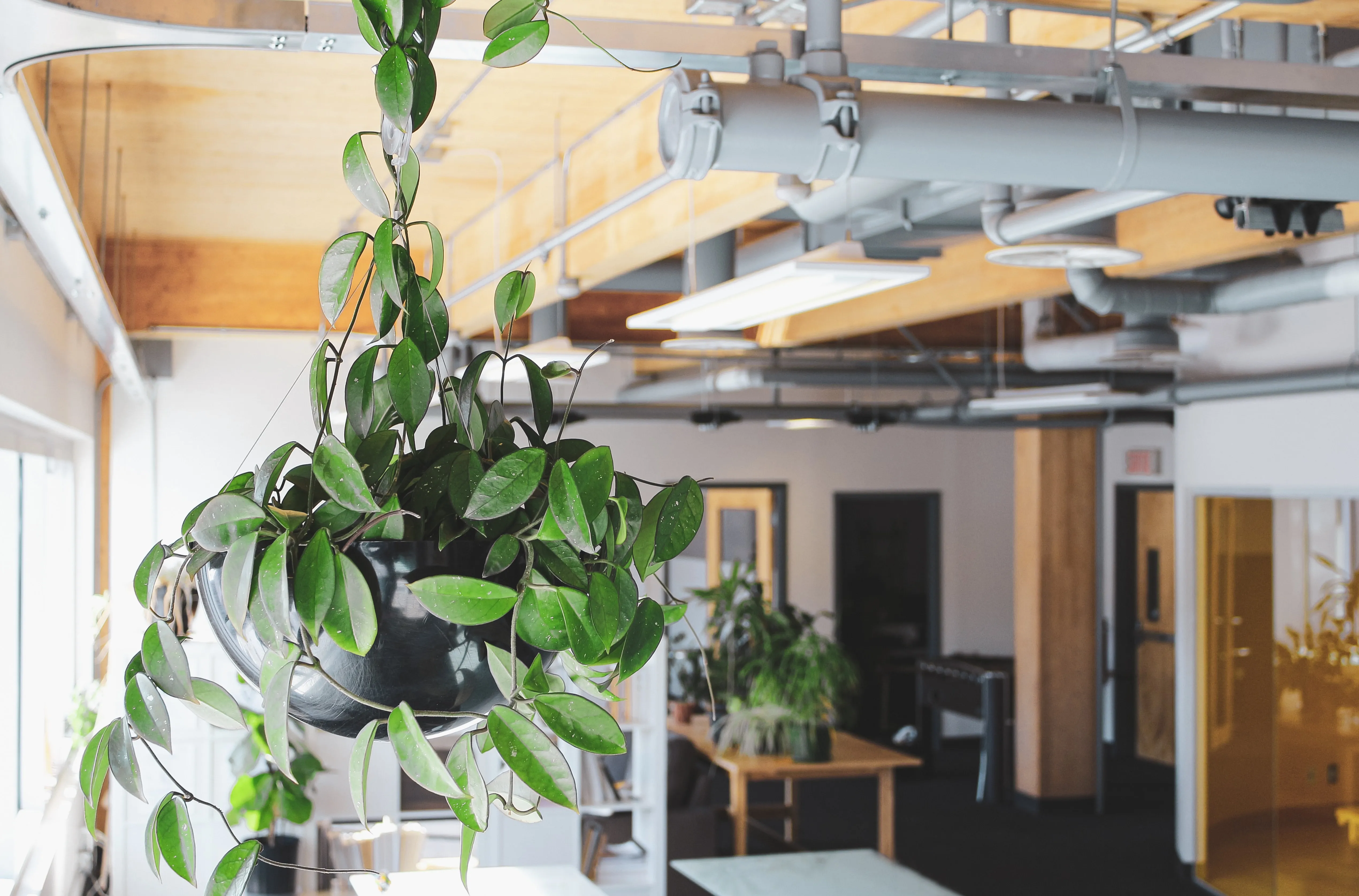 Lighthouse Digital | A Webflow Specialist Agency