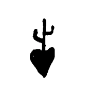 Laura Interview | Mahico