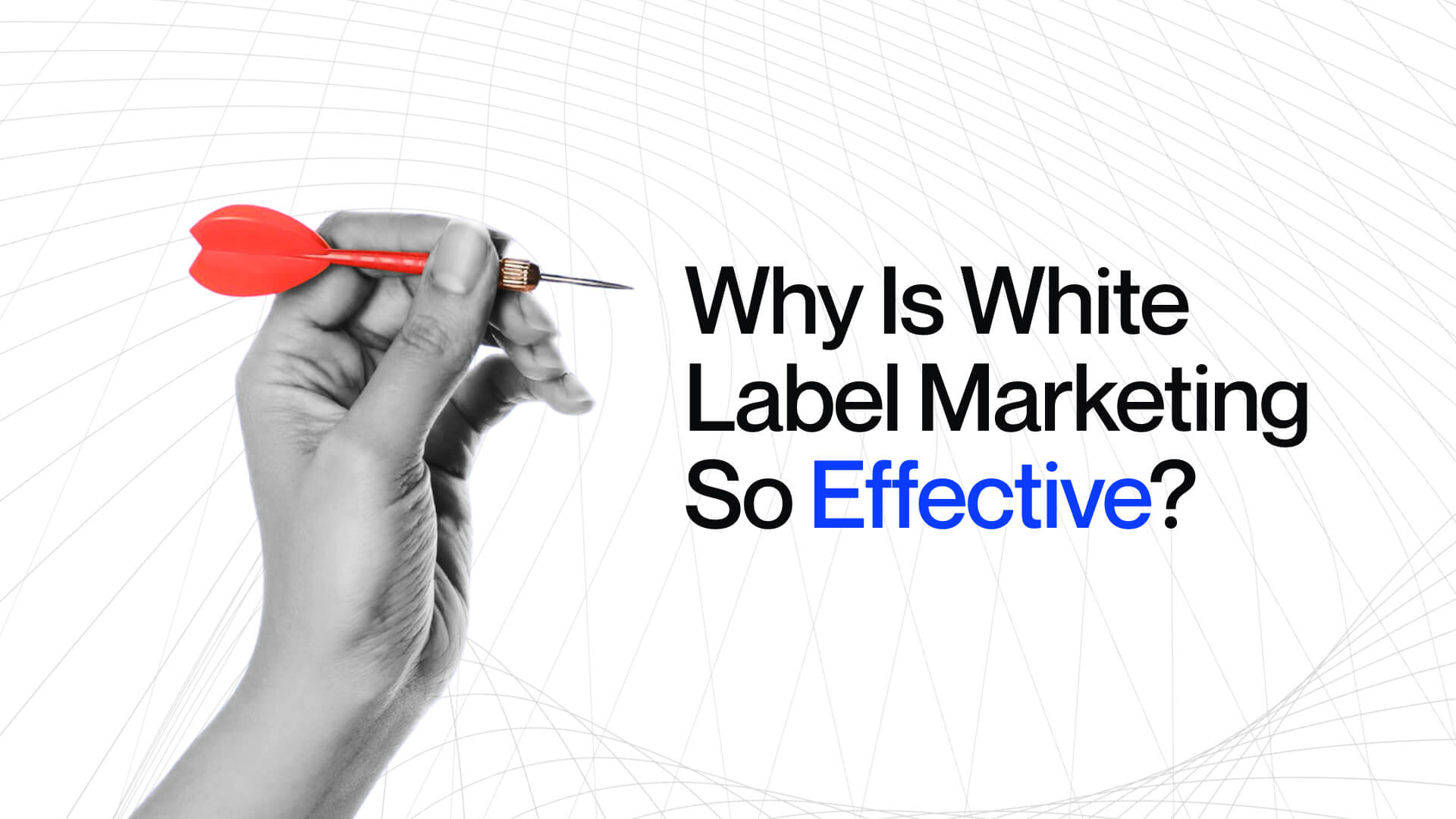 Why Is White Label Marketing So Effective?