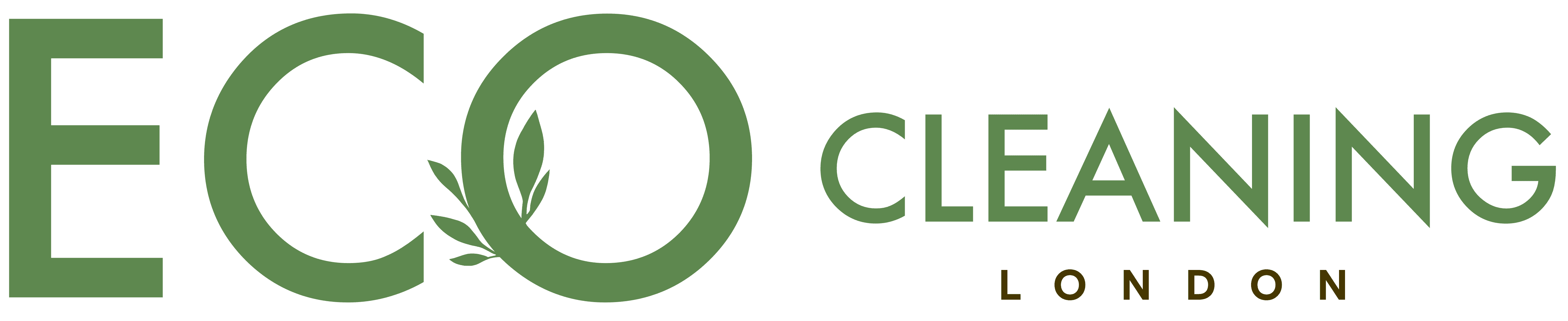 Professional Eco Cleaning Services in London