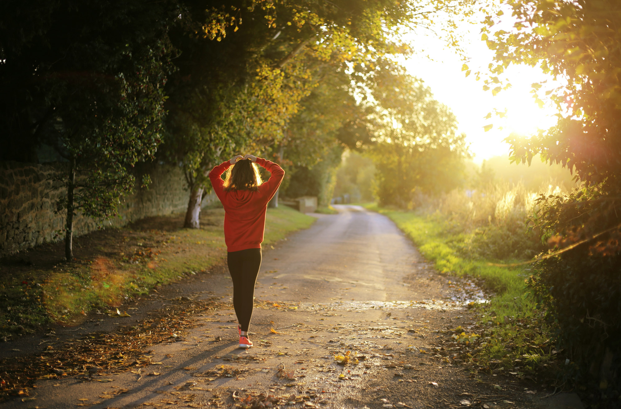 Bealey Centre | Christchurch Psychological Services