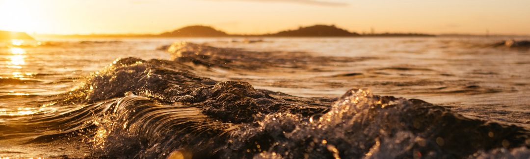 Our Services | Bealey Centre