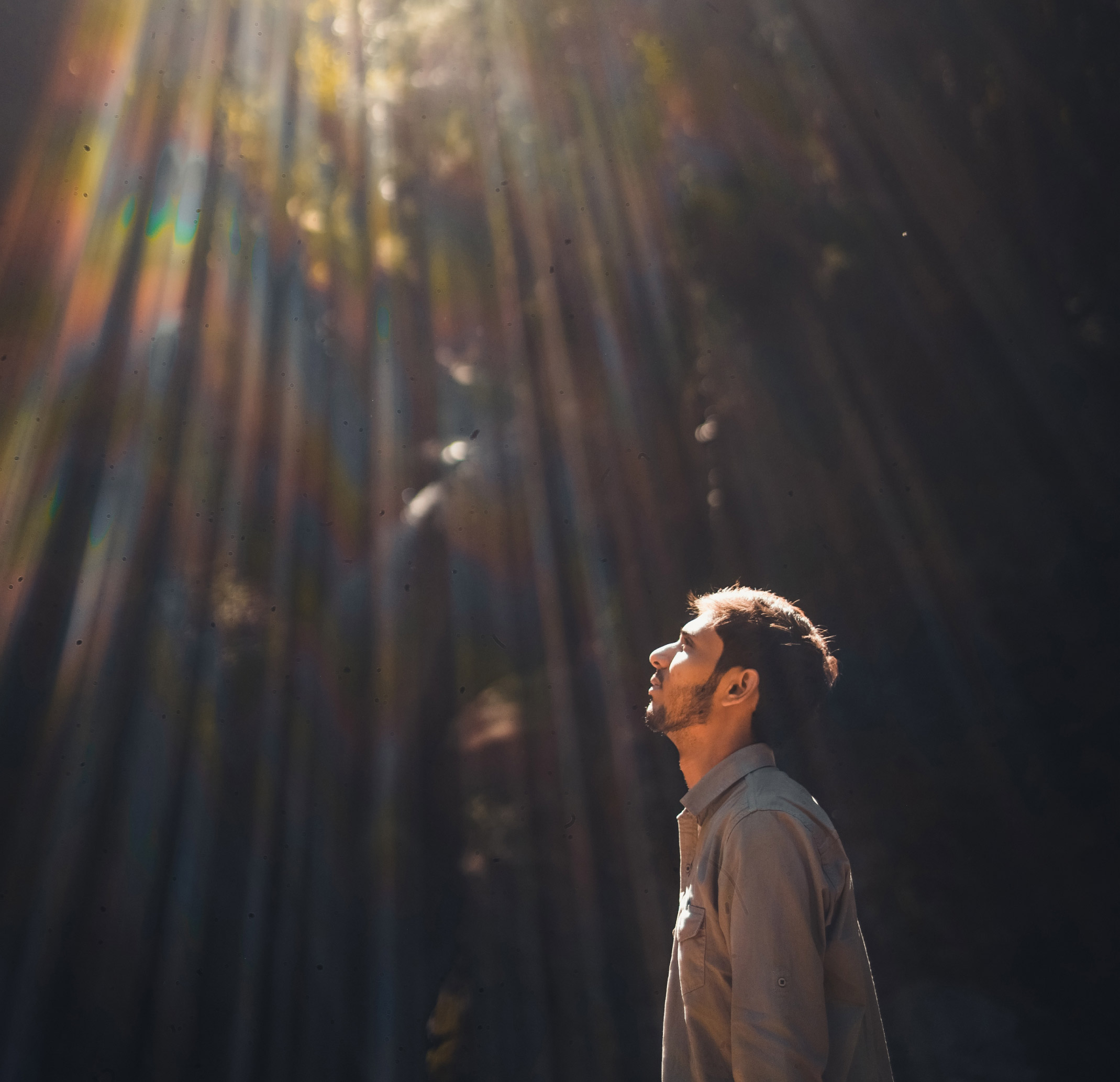 Our Services | Bealey Centre