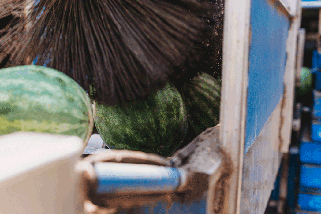 Meet the Farmers at JMR | JMR Vieck Farms | Indiana & Illinois