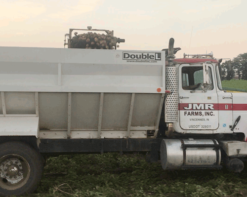 Vieck Chipping Potatoes for Lay's Potato Chips | JMR Family Farms ...