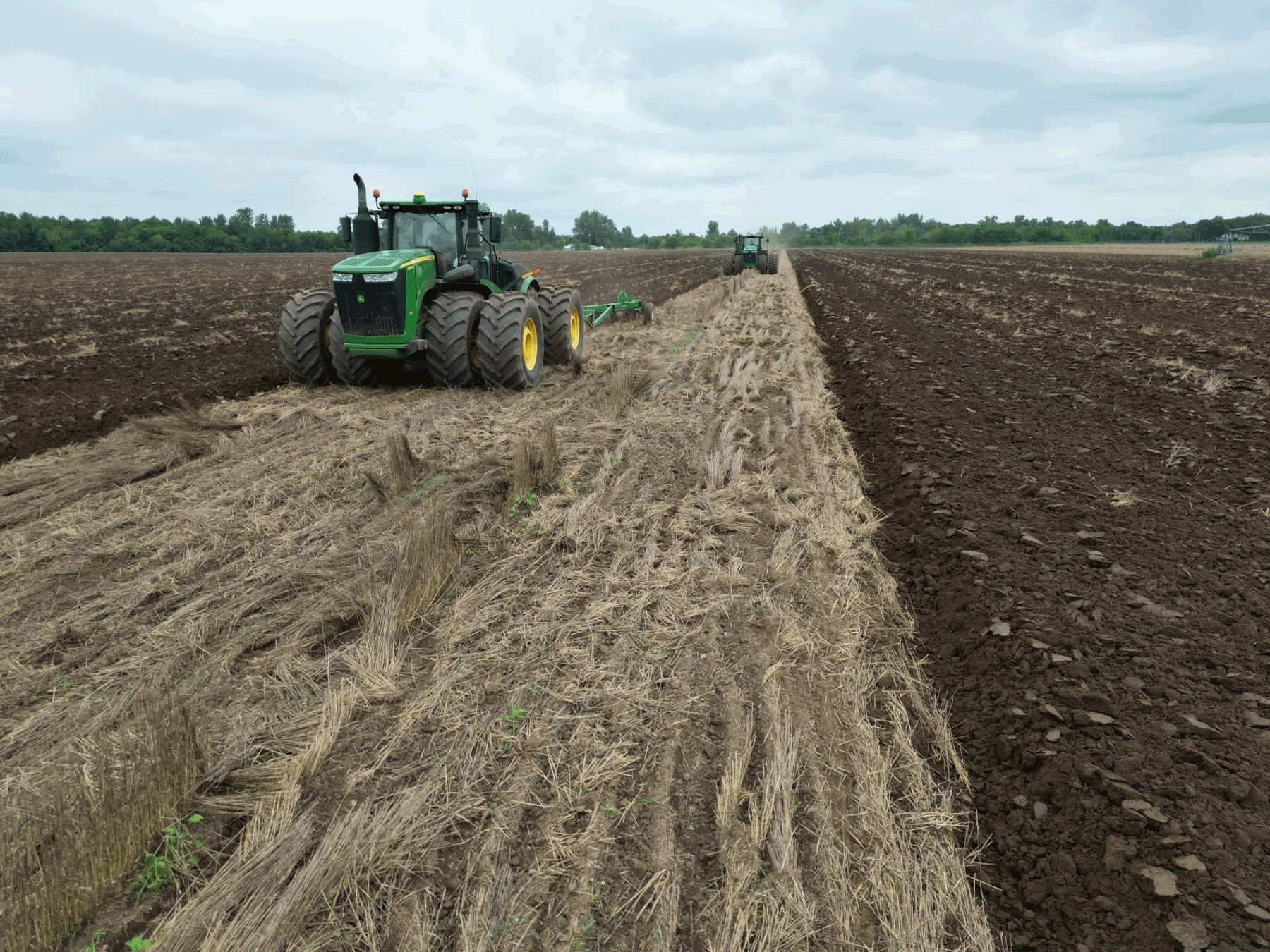 Midwestern Grown Fresh Broccoli | JMR Farm | Decker, Indiana