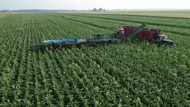 Sweet Corn from Southern Indiana & Illinois | Terry Veick JMR Farms ...