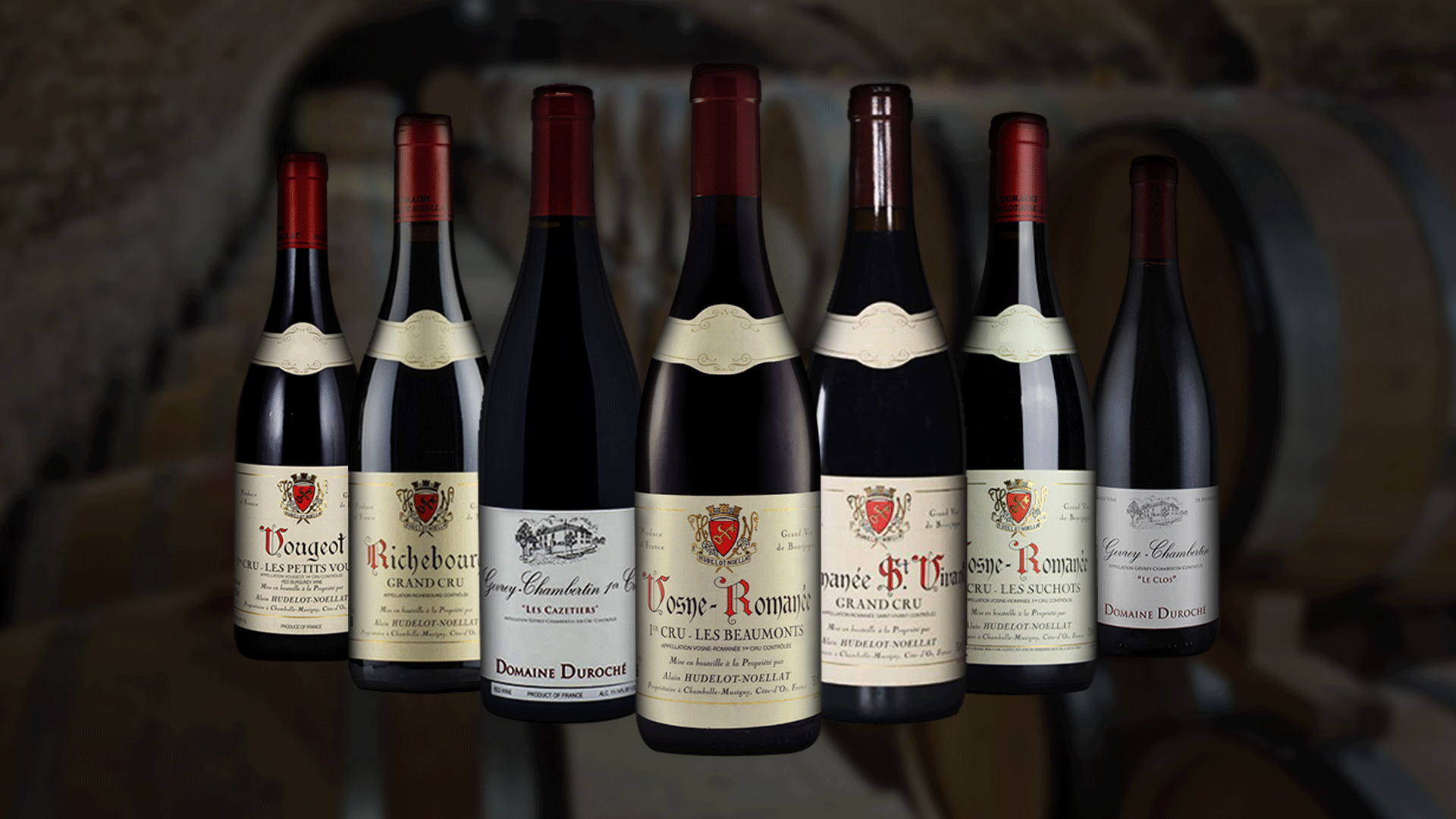 Discover the Best Vintage Wine Selection | Vintage Cellar