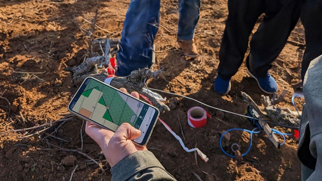 Mergin Maps - Find a training program that suits you