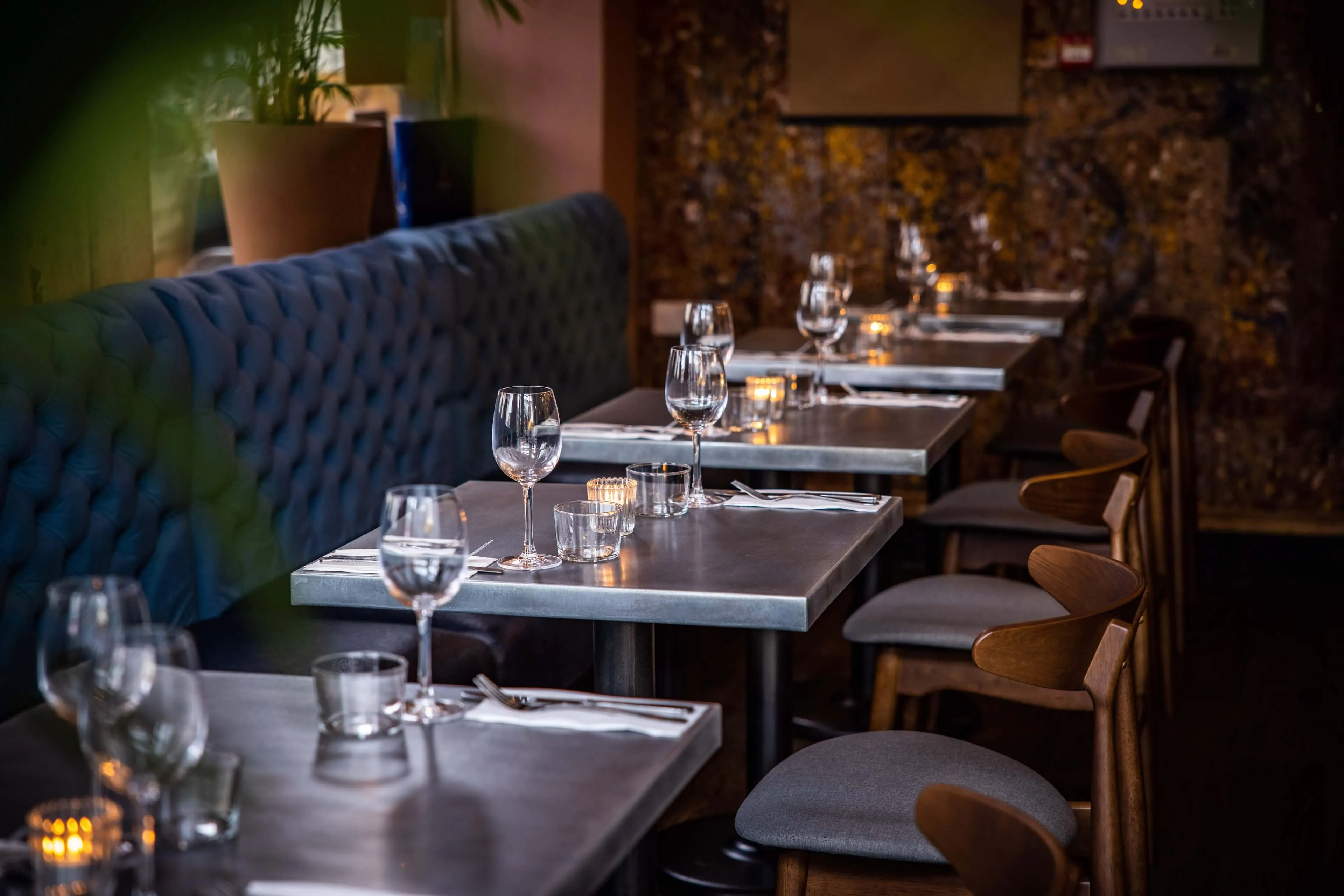 Mr. Fox — A Bart & Taylor Venue