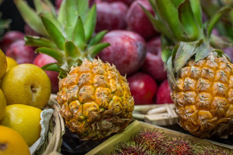 Response to Strict and Liberalized Specific Carbohydrate Diet in ...