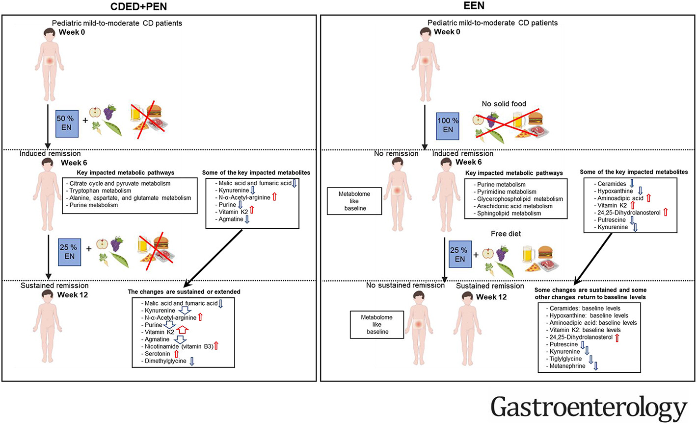 Metabolome Changes With Diet-Induced Remission in Pediatric Crohn's ...