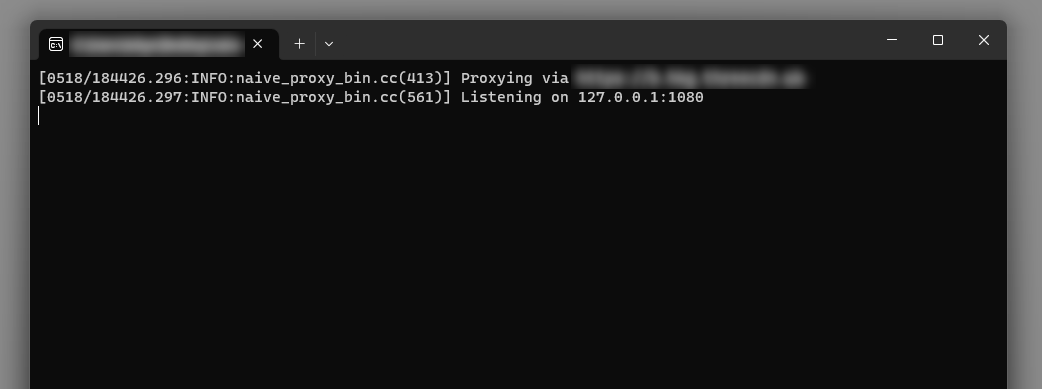 Vector Link - Windows NaiveProxy Manual Setup Guide