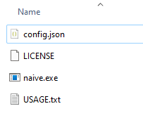 Vector Link - Windows NaiveProxy Manual Setup Guide
