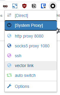 Vector Link - Windows NaiveProxy Manual Setup Guide
