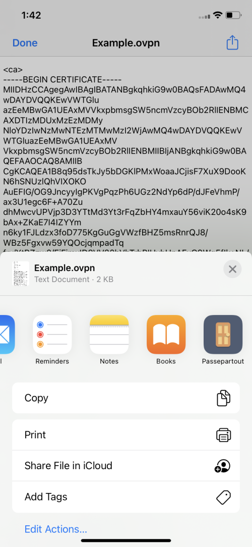 Vector Link - iOS OpenVPN Manual Setup Guide