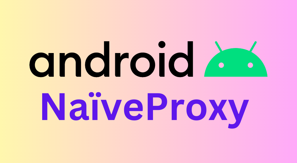 Vector Link - Windows NaiveProxy Manual Setup Guide