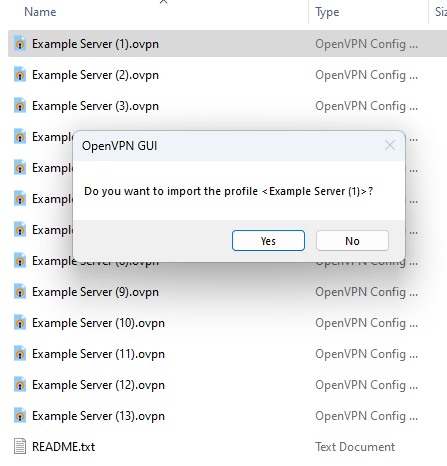 Vector Link - Windows OpenVPN Manual Setup Guide
