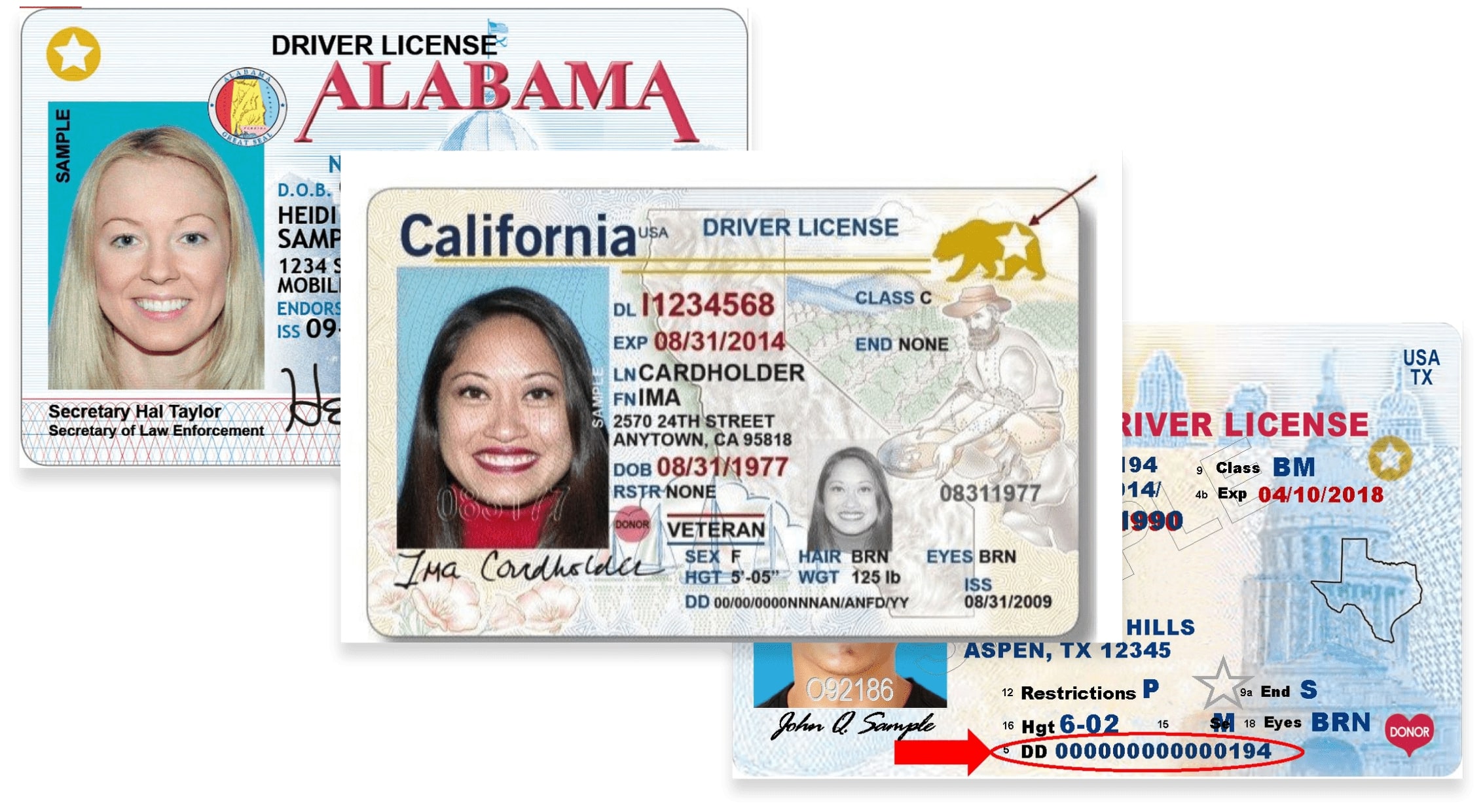 Driver's License OCR API | OCR Driver's License