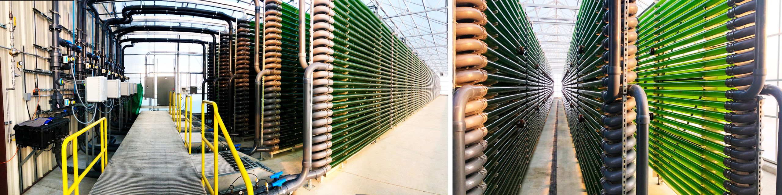 Meet ISG Employee Owner, Julie Blackburn, CFM