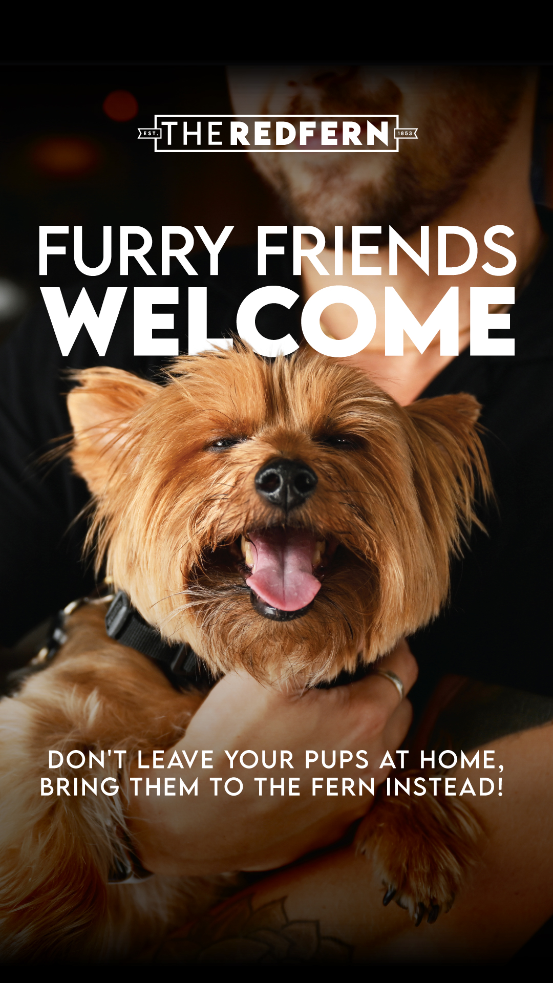 Furry Friends Welcome - The RedFern