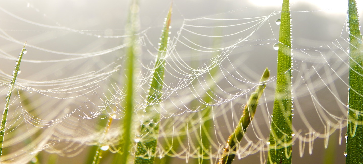 Connecting Device Magic field app to Bodhi solar customer app to ...