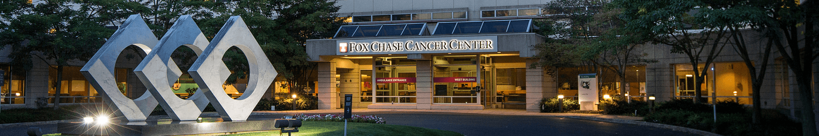 Leading the Way in Person-Centered Care Services | Planetree