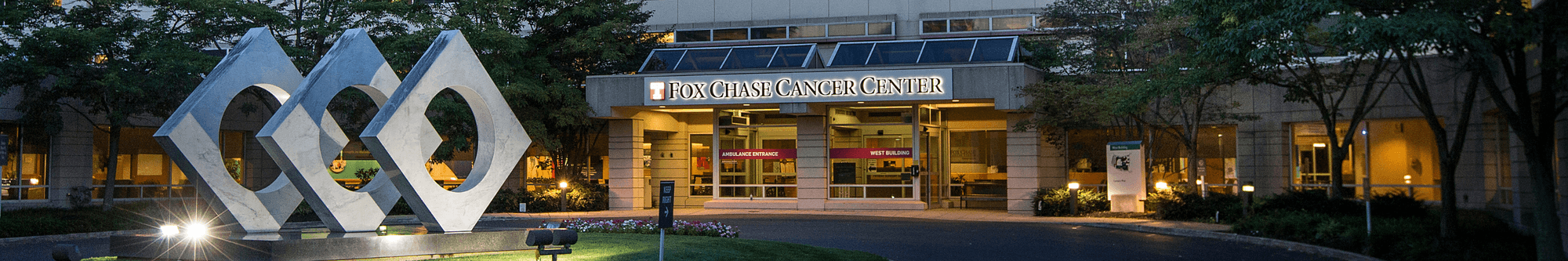 Leading the Way in Person-Centered Care Services | Planetree